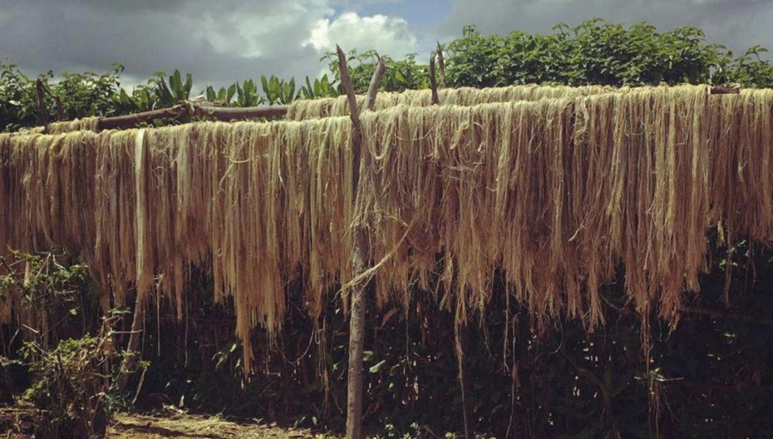 Banana Fiber – sustainme.in